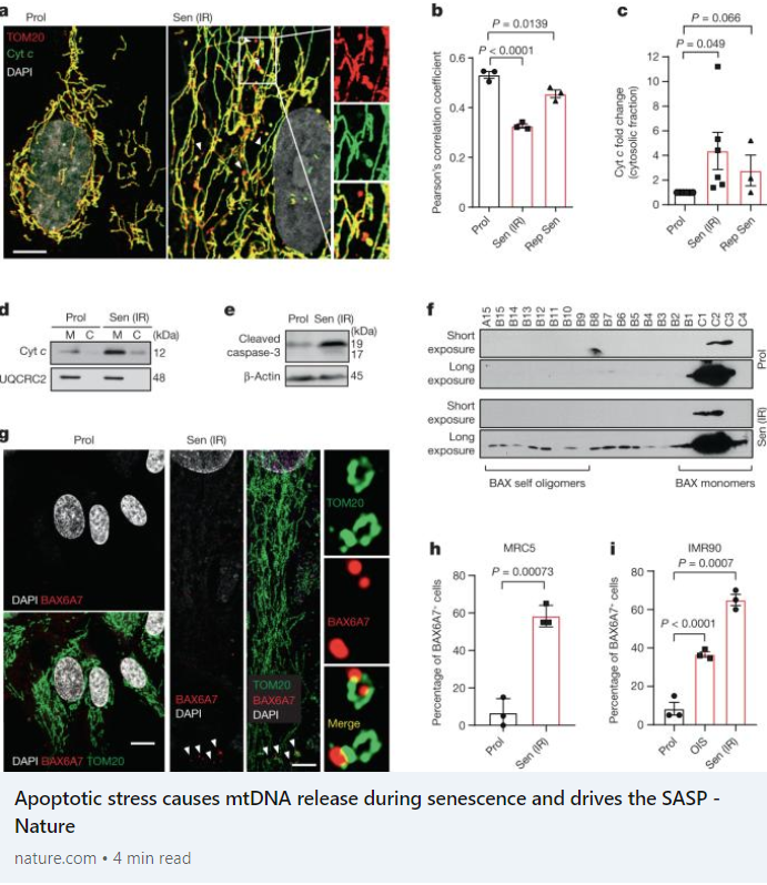 Fibrofind - News and Events